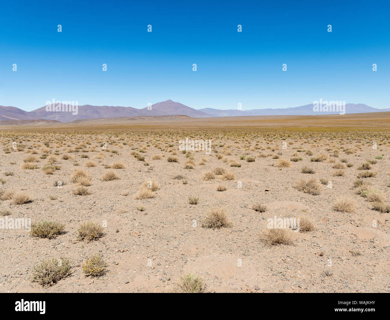 The Argentinian Altiplano along Routa 27 between Pocitos and Olacapato ...