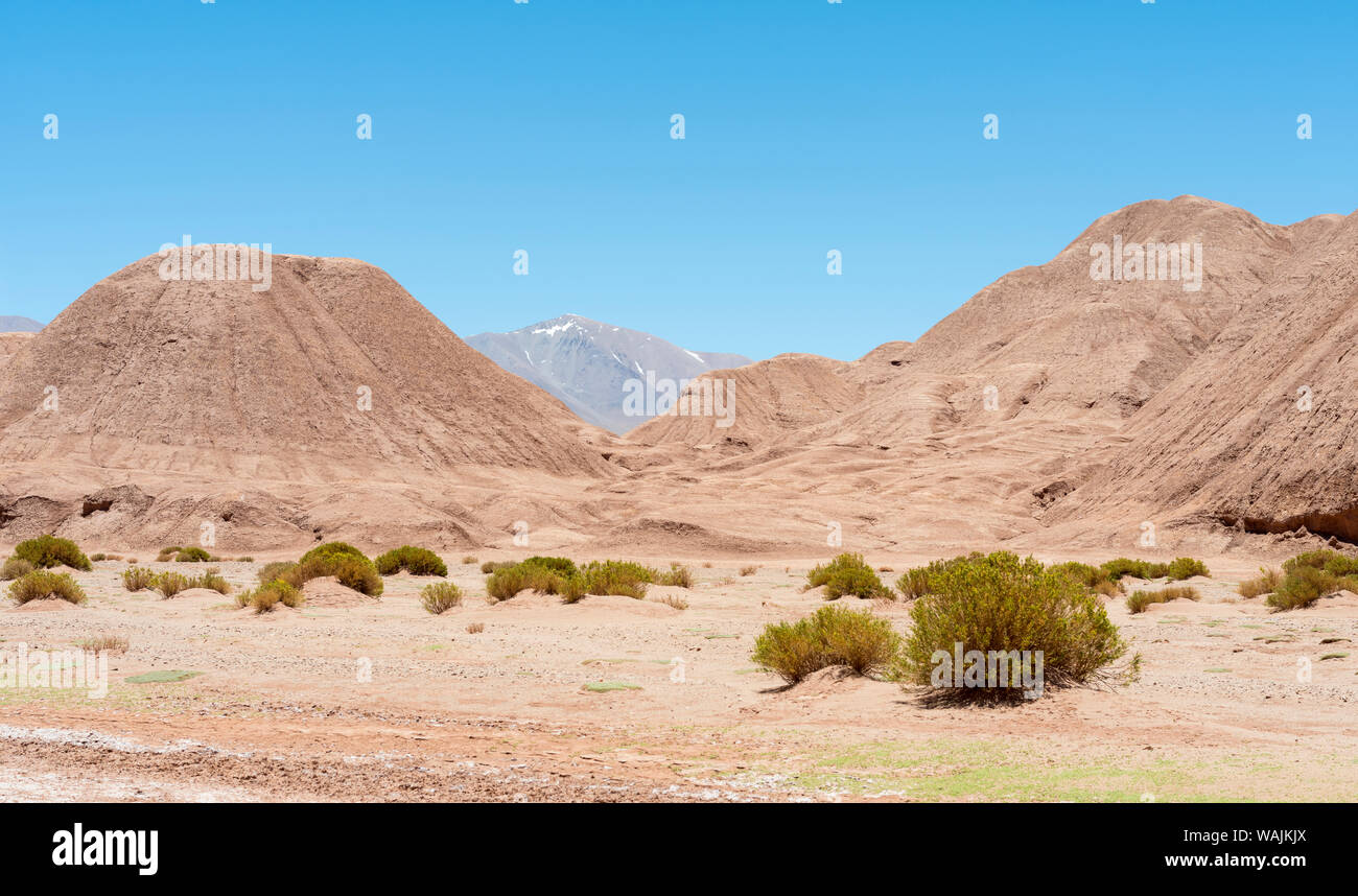 The Argentinian Altiplano along Routa 27 between Pocitos and Tolar ...