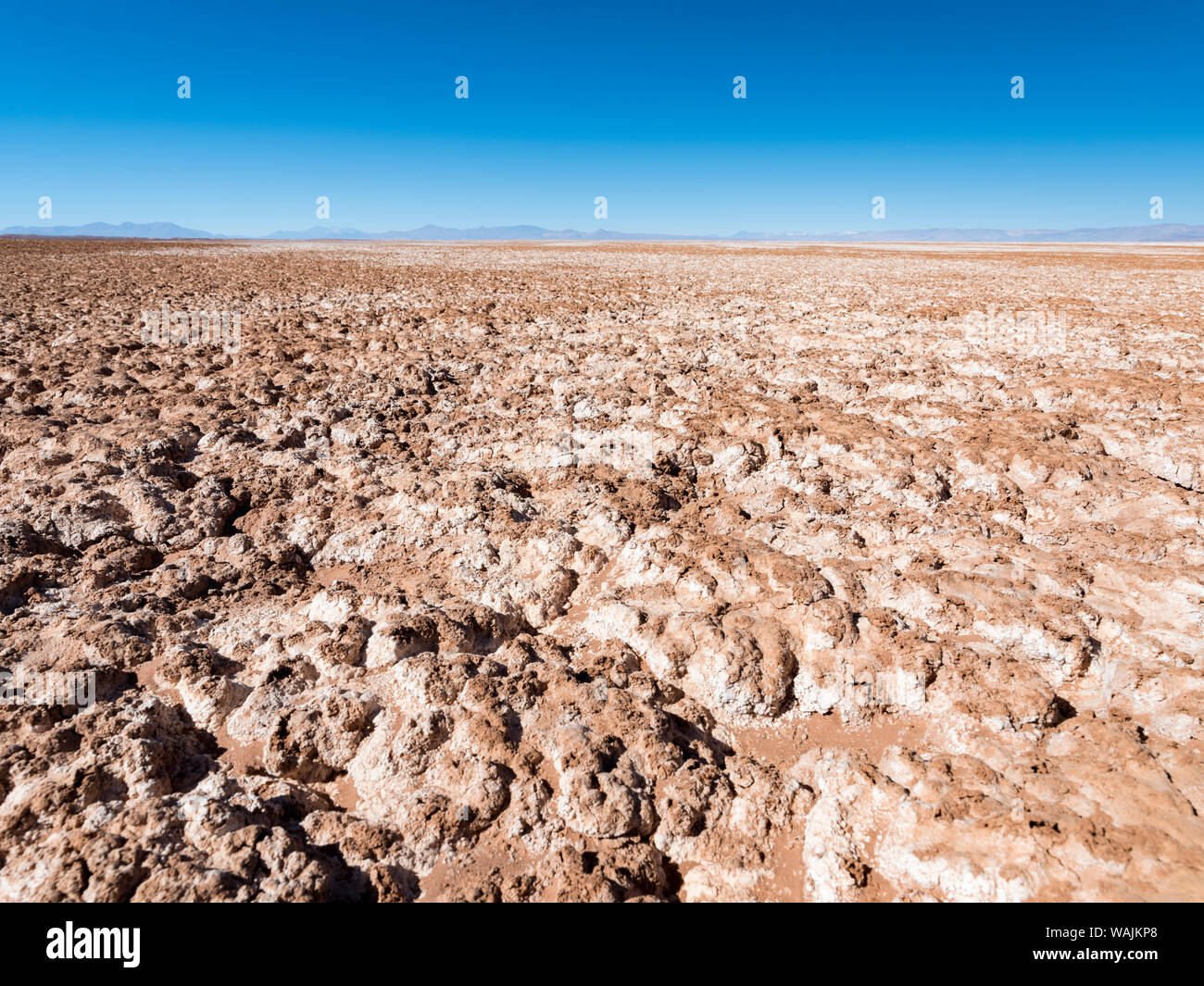 The largest salt flat chile hi-res stock photography and images - Alamy