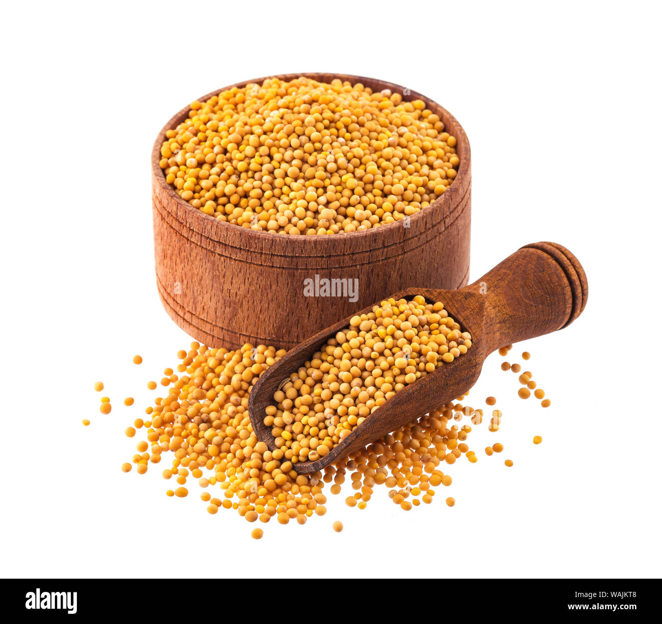 One Mustard Seed Photography