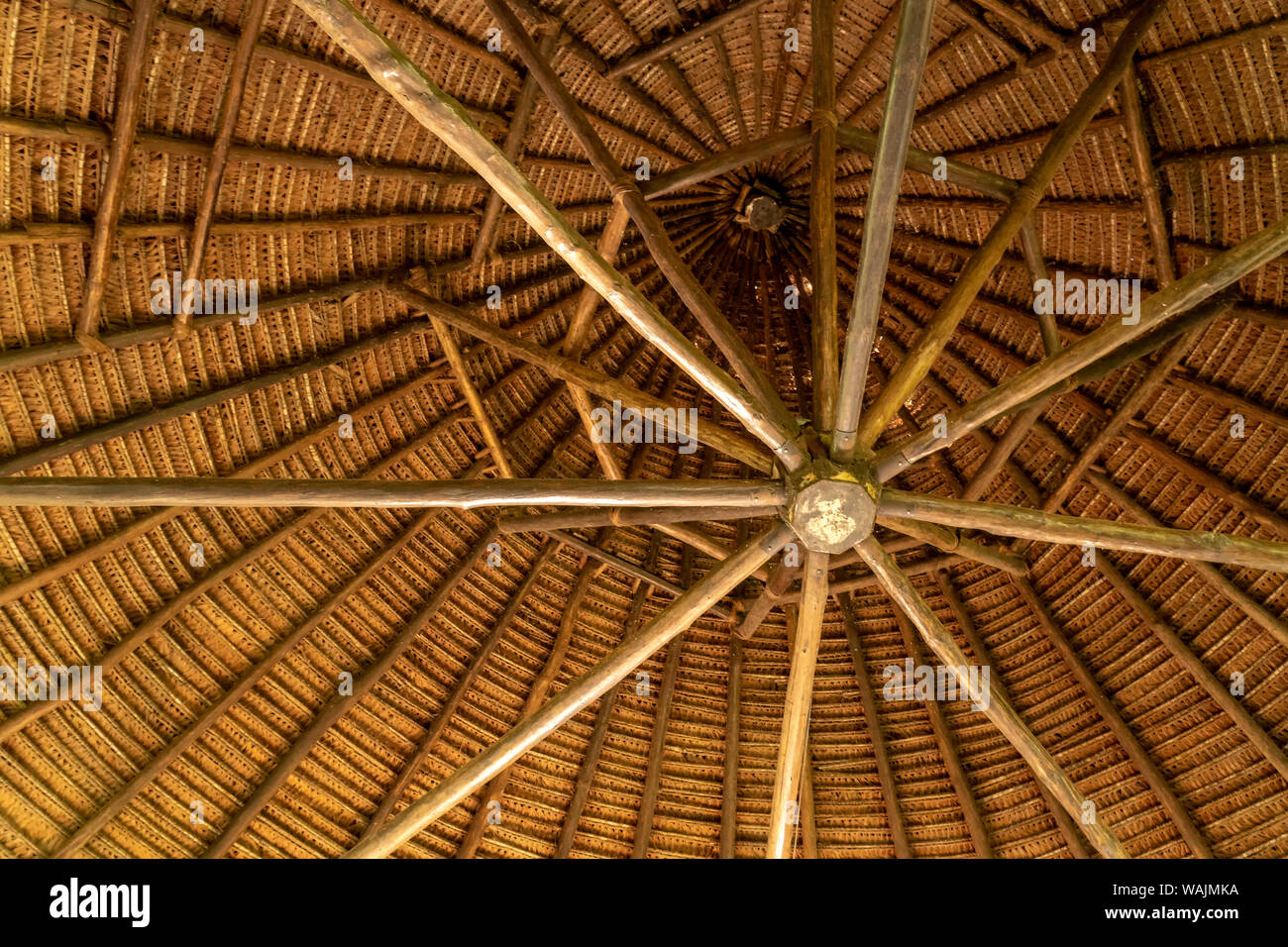 Palm thatch hut hi-res stock photography and images - Alamy
