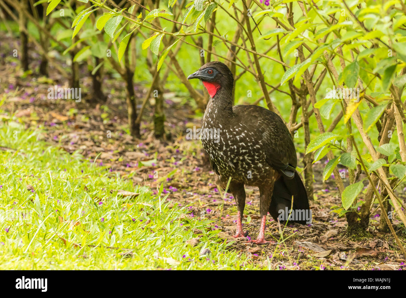 Ground gallery hi-res stock photography and images - Alamy