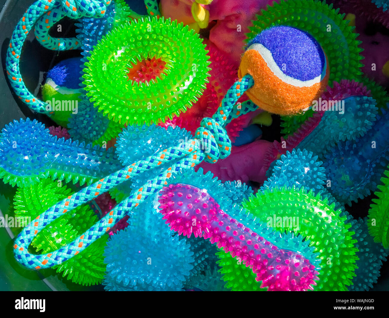 USA, Arizona, Buckeye. Close-up of colorful dog toys. Credit as: Wendy ...