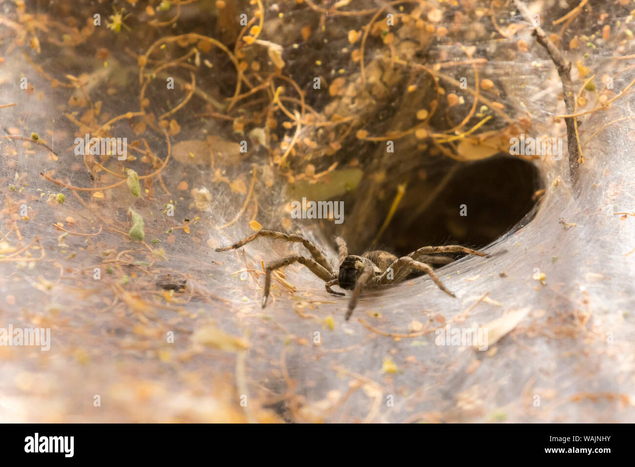 Sp gallery hi-res stock photography and images - Alamy