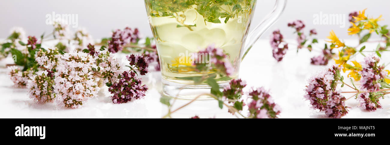 Herbal tea with origanum isolated on white background Stock Photo - Alamy