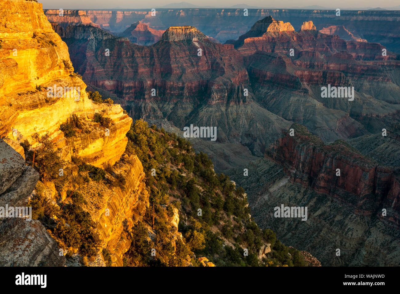 View from Bright Angel Point on the North Rim of Grand Canyon National ...