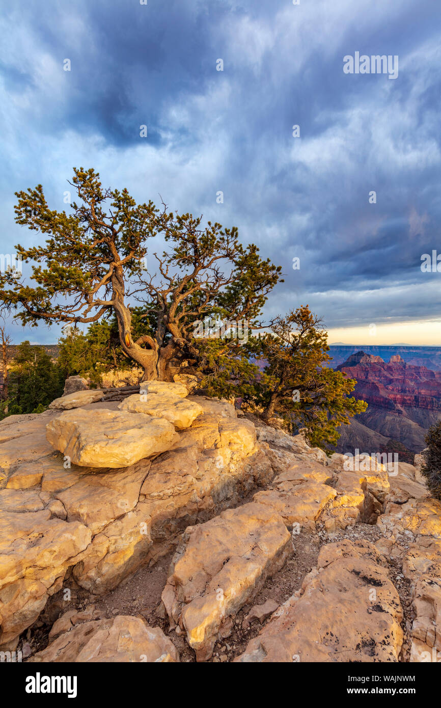 View from Bright Angel Point on the North Rim of Grand Canyon National ...