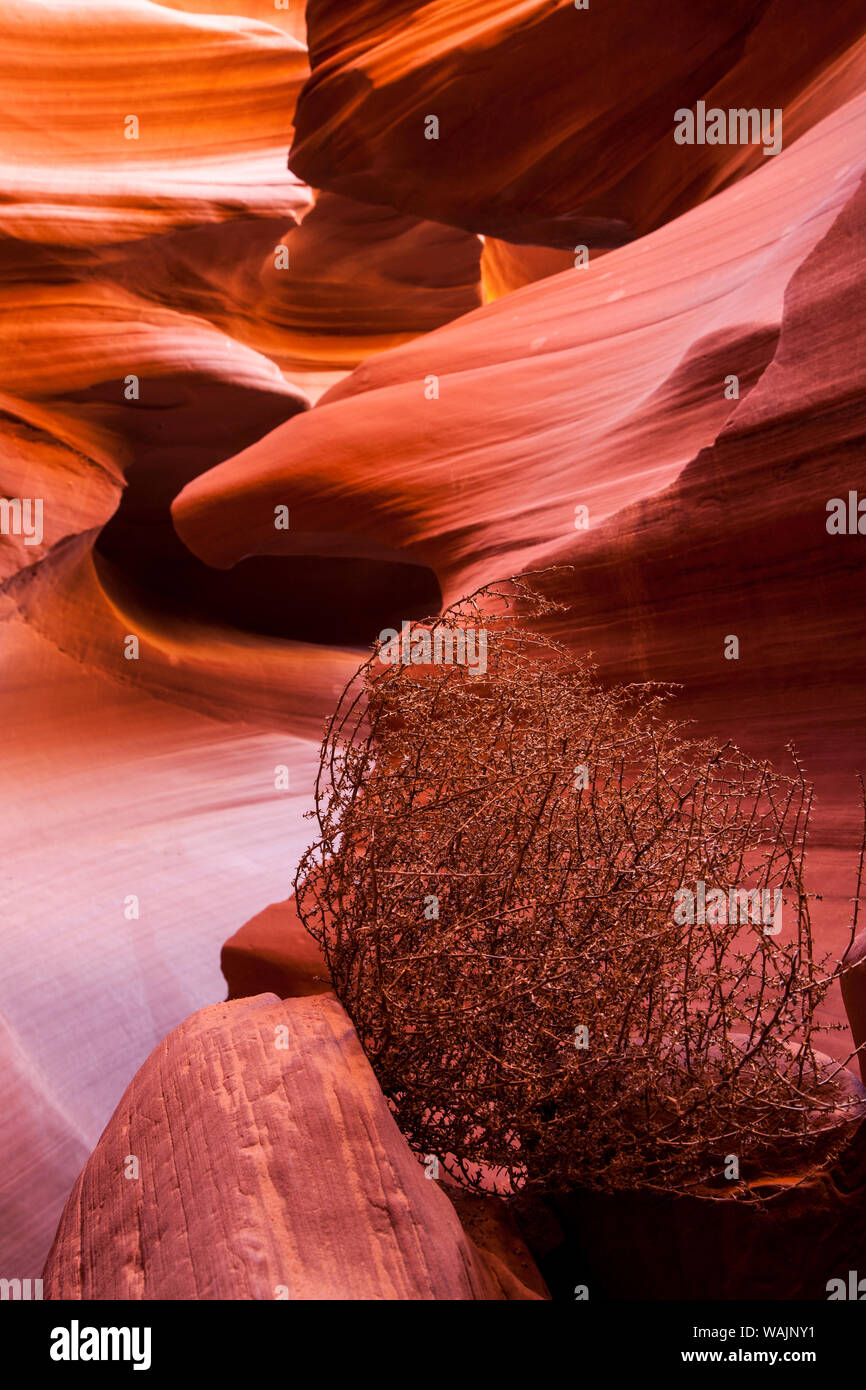 USA, Upper Antelope Canyon, Arizona Stock Photo - Alamy