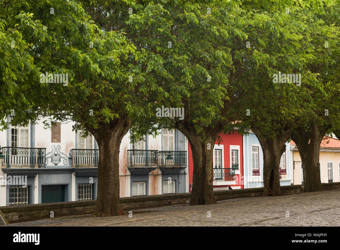 Portugal, Azores, Terceira Island, Angra do Heroismo. Building detail ...