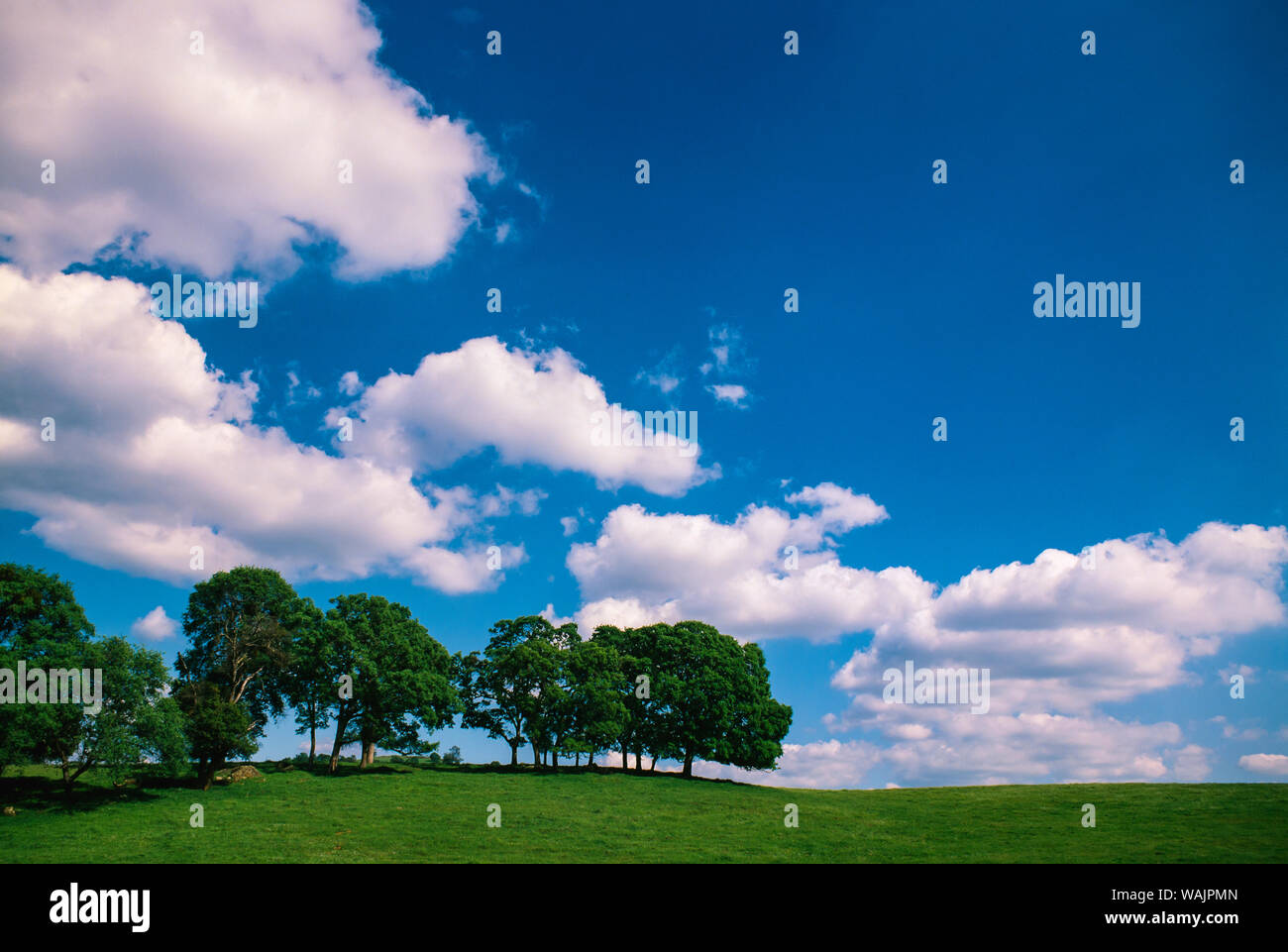 Mother Lode Country, Sierras, California Stock Photo - Alamy