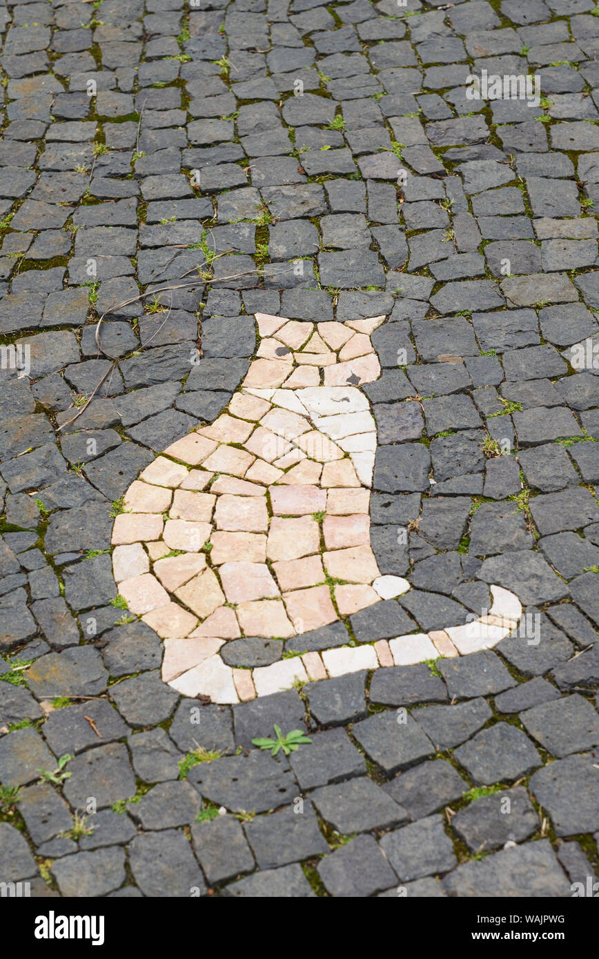 Portugal, Azores, Terceira Island, Angra do Heroismo. Jardim Publico ...