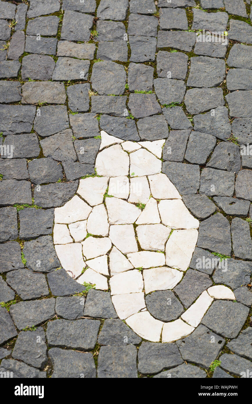Portugal, Azores, Terceira Island, Angra do Heroismo. Jardim Publico ...