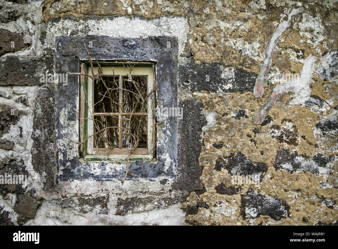 Portugal, Azores, Faial Island, Norte Pequeno. Ruins of building ...
