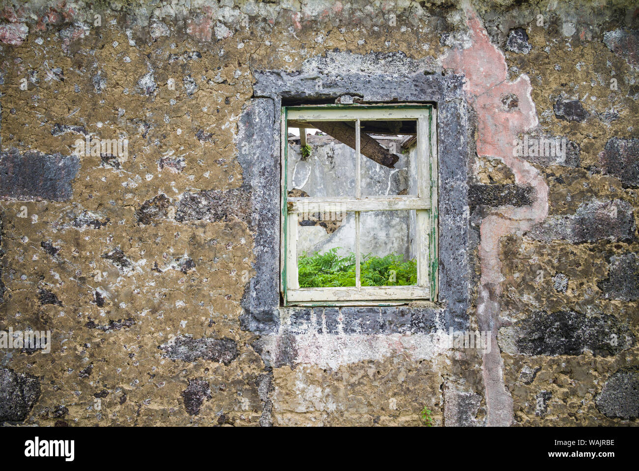 Portugal, Azores, Faial Island, Norte Pequeno. Ruins of building ...