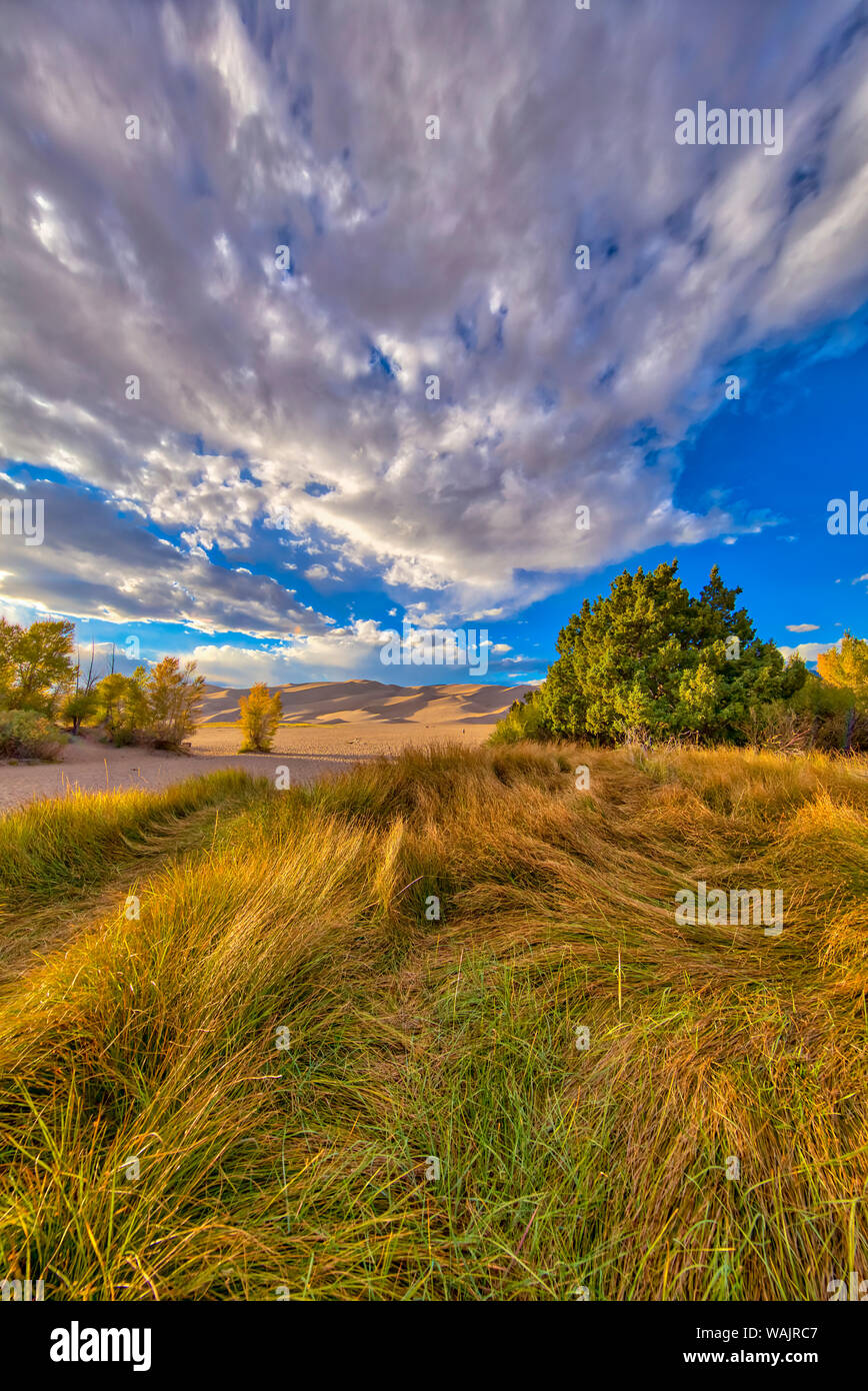 Colorado Great Sand Dunes National Park High Resolution Stock ...