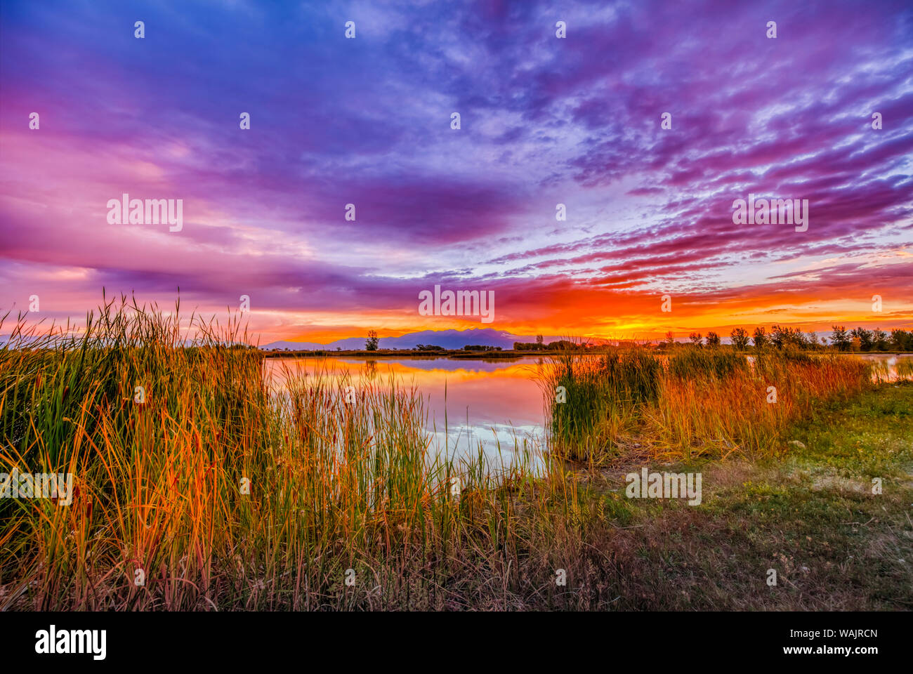 J agua hi-res stock photography and images - Alamy