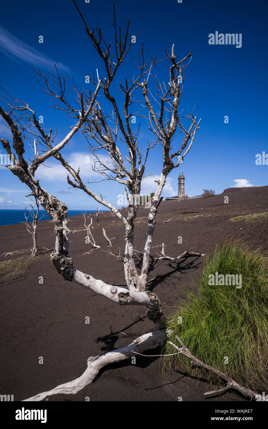 Portugal, Azores, Faial Island. Capelinhos volcanic eruption site and ...