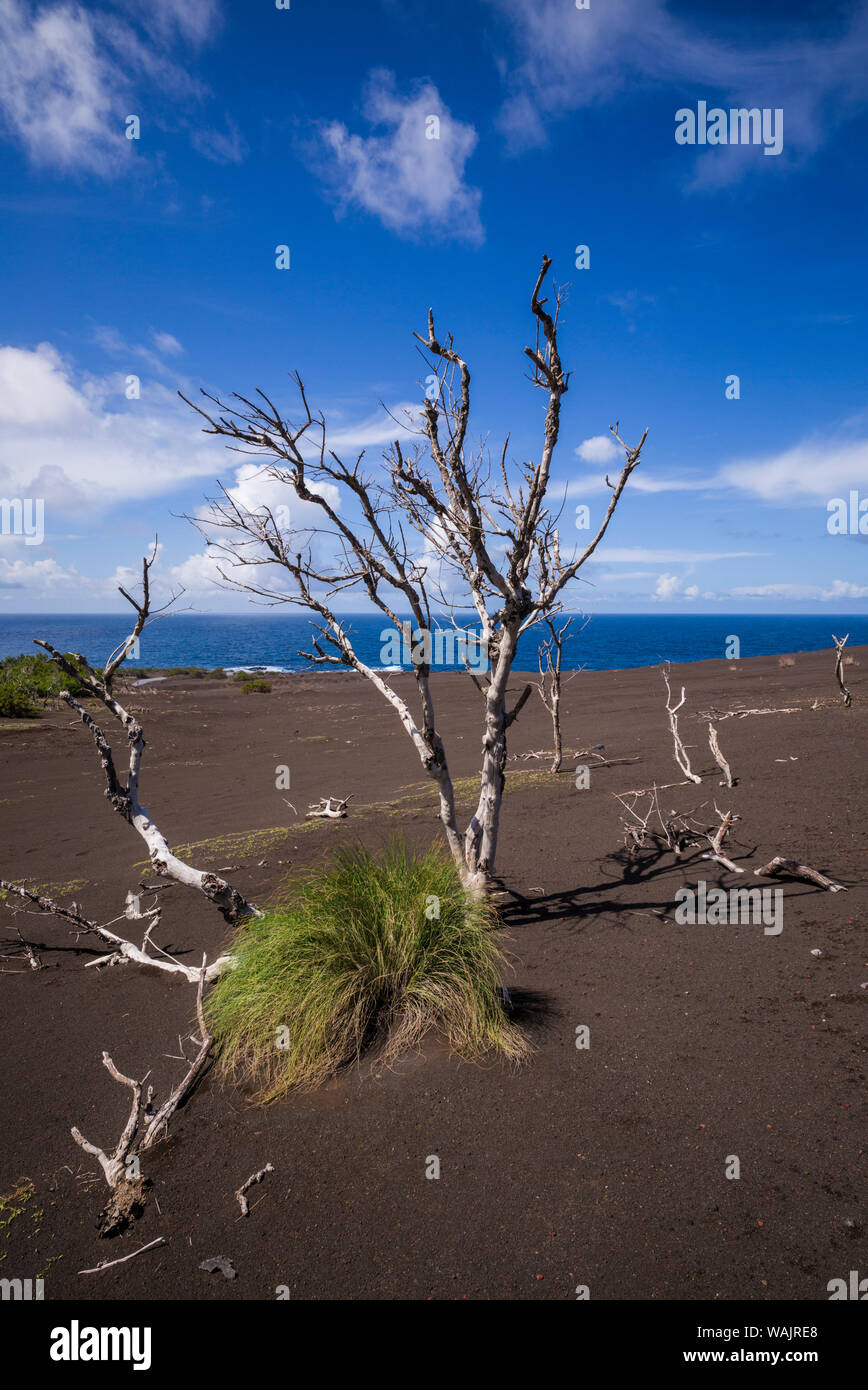 Portugal, Azores, Faial Island. Capelinhos volcanic eruption site and ...
