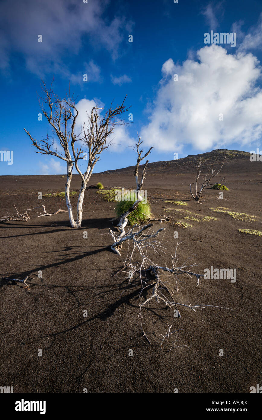 Portugal, Azores, Faial Island. Capelinhos volcanic eruption site and ...