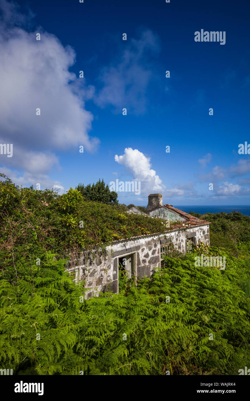 Portugal, Azores, Faial Island, Norte Pequeno. Ruins of building ...