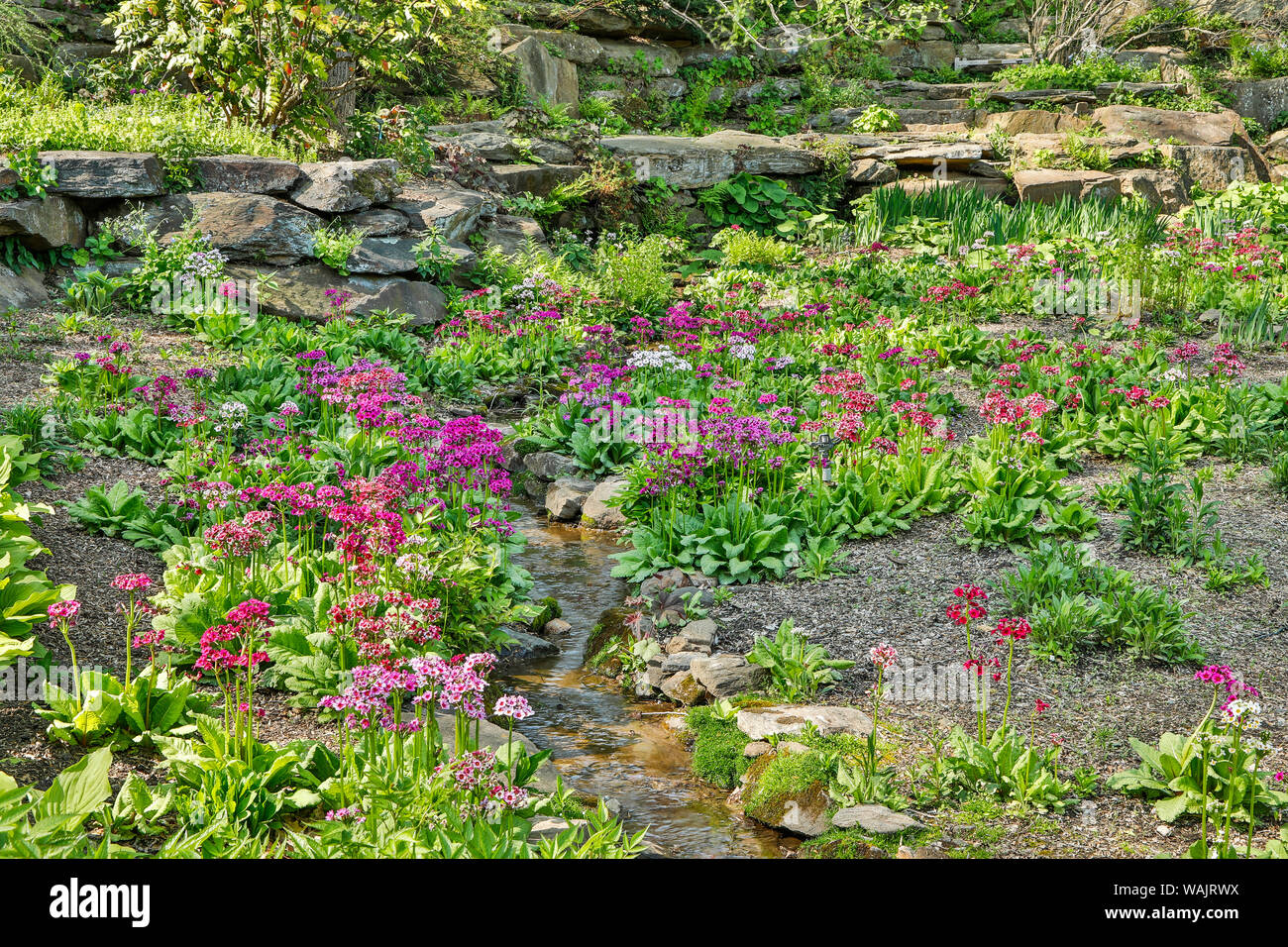 Blooming flow hi-res stock photography and images - Alamy