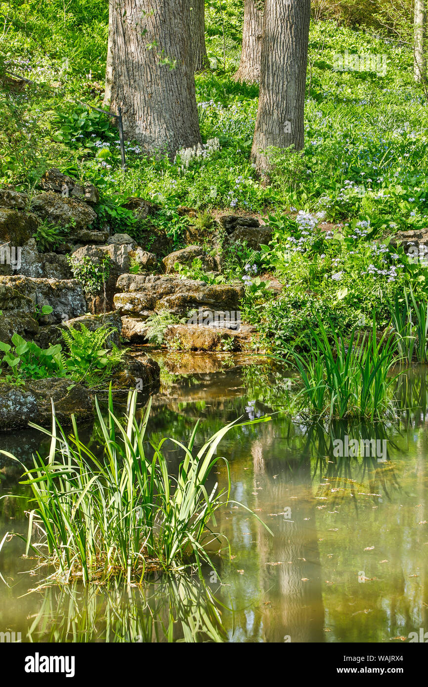 Moss covered pond hi-res stock photography and images - Alamy