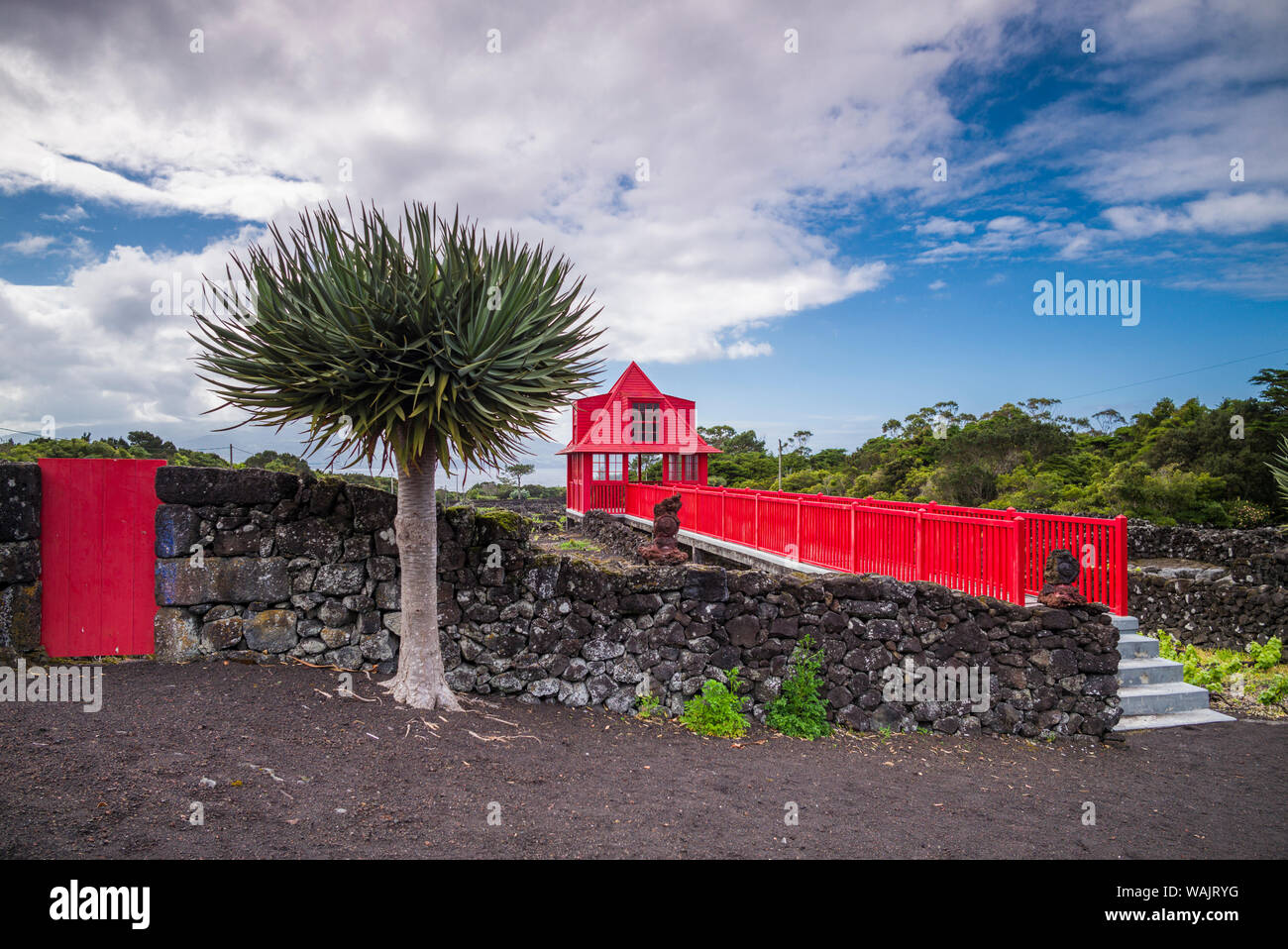 Portugal, Azores, Pico Island, Madalena. Wine Museum, vineyard ...