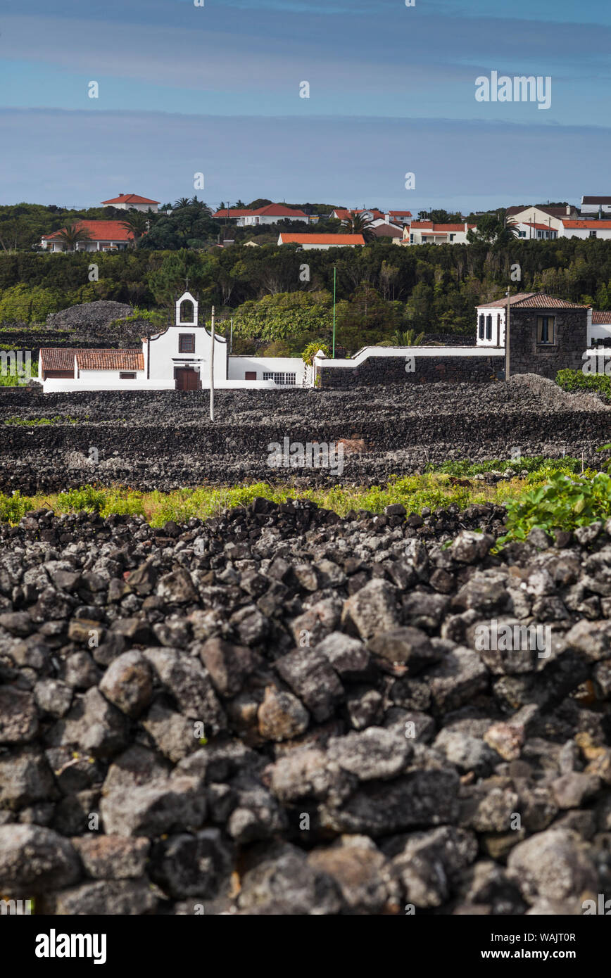 Portugal, Azores, Pico Island, Criacao Velha. Village church Stock ...