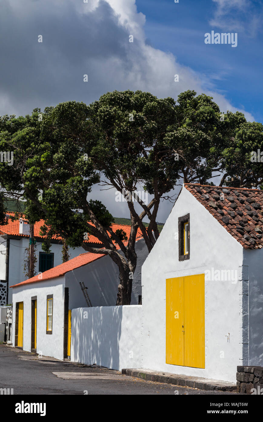 Portugal, Azores, Pico Island, Sao Roque do Pico. Colorful harbor ...