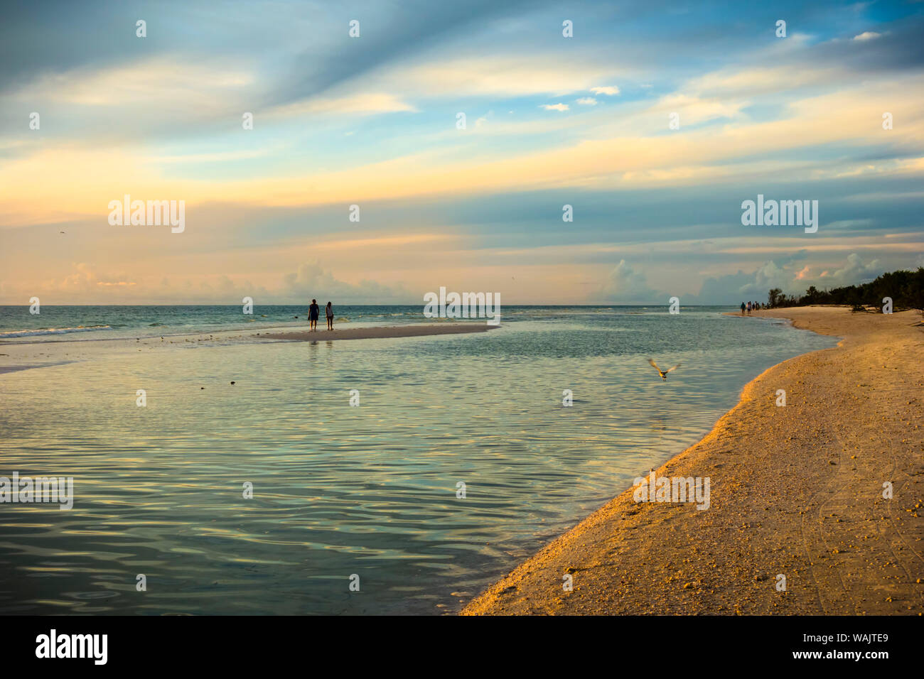 Florida beach sunset walk hi-res stock photography and images - Alamy