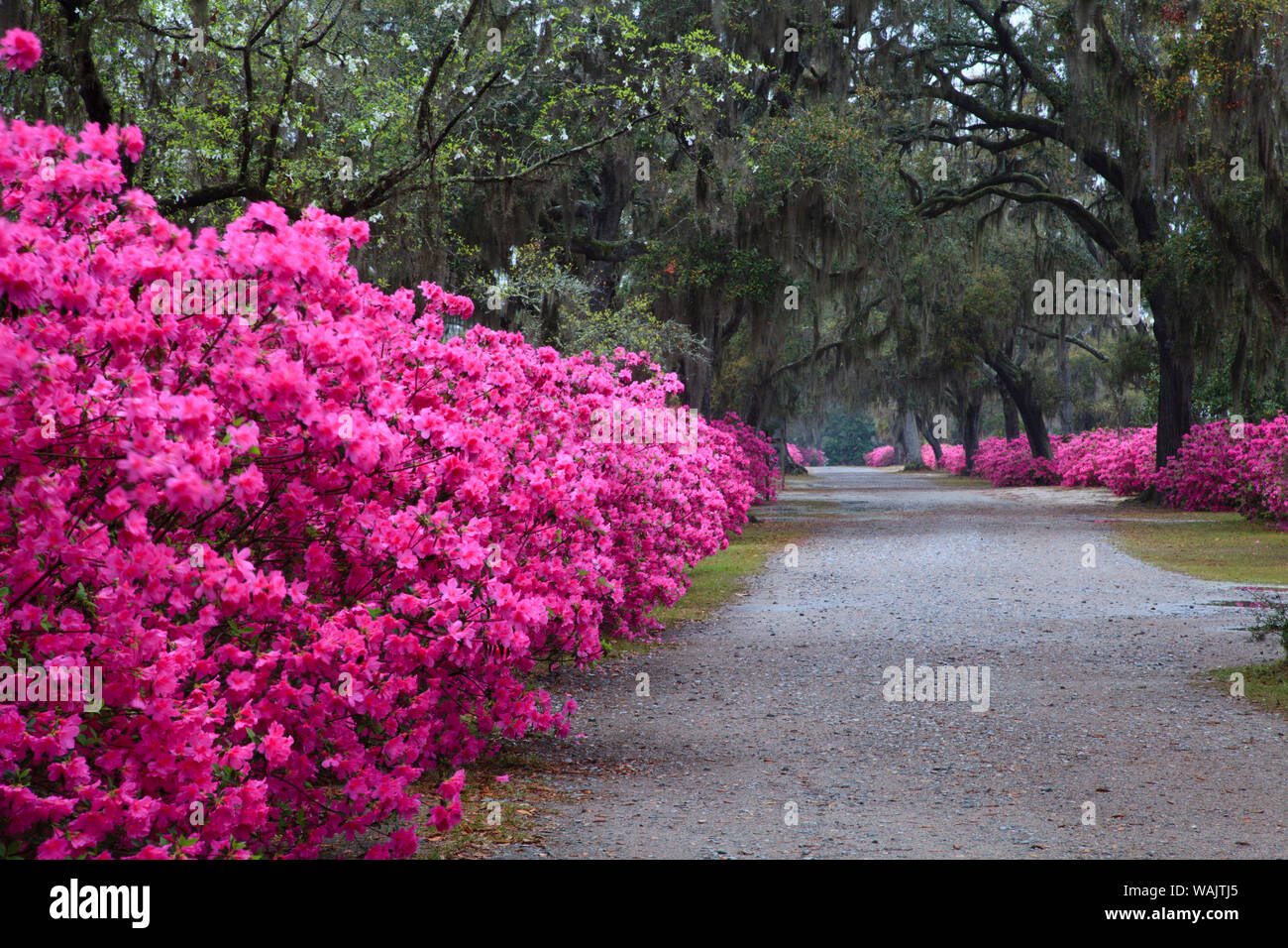 Georgia usa cemetery hi-res stock photography and images - Alamy