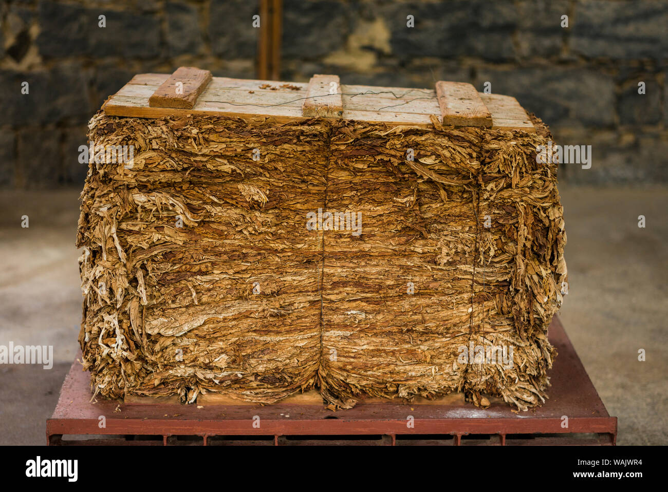 Portugal, Azores, Sao Miguel Island, Maia. Bale of Azorean tobacco ...