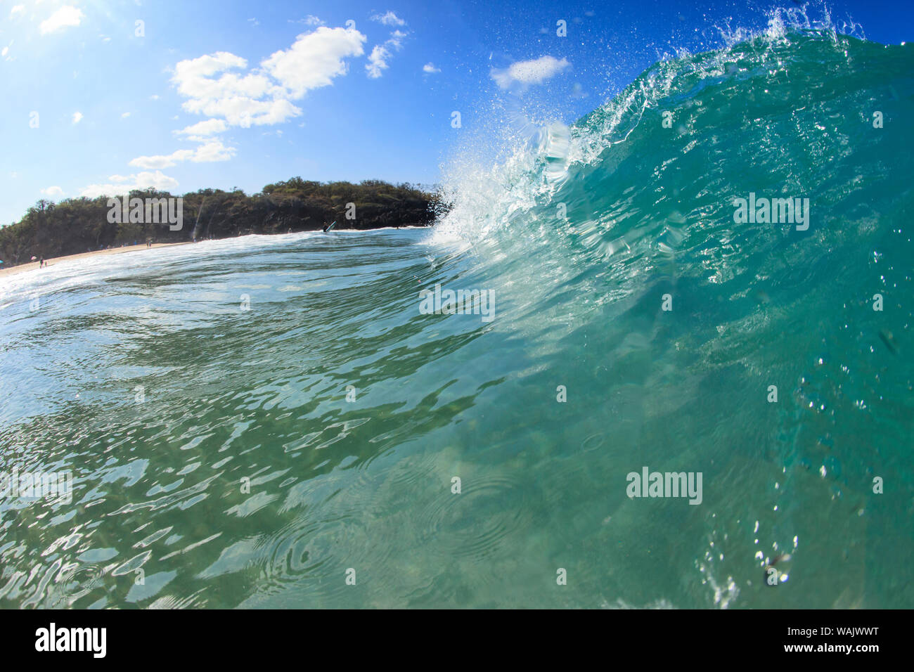 Ocean wave fish hi-res stock photography and images - Alamy