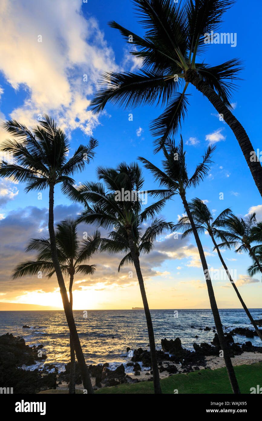 Small beach in Makena area, Maui, Hawaii, USA Stock Photo - Alamy