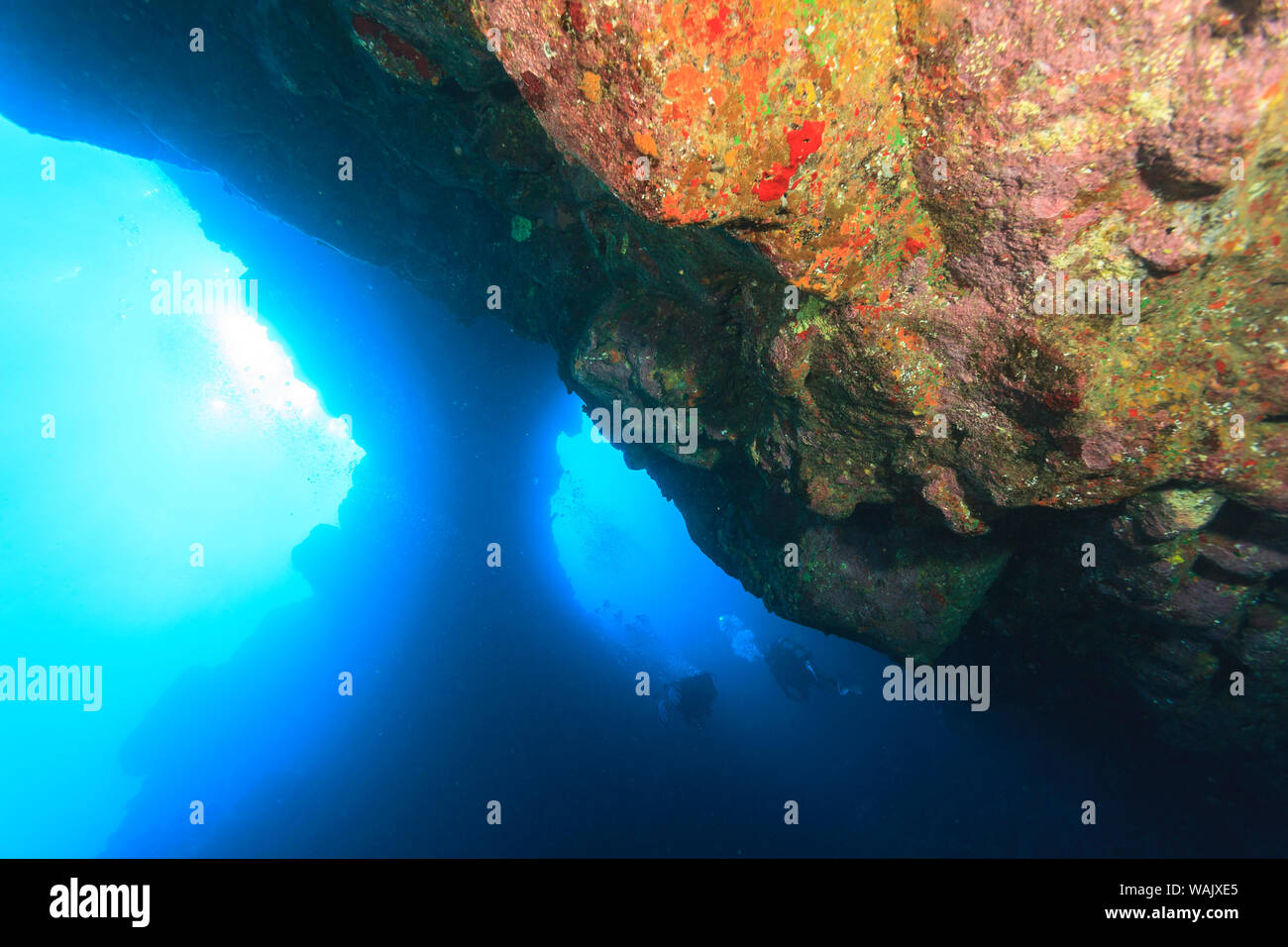 Underwater cave diving hawaii hi-res stock photography and images - Alamy