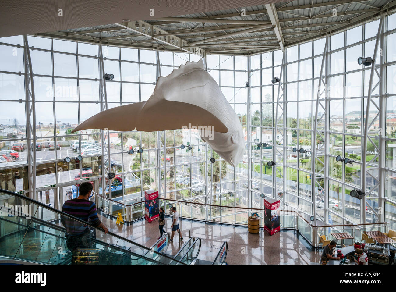 Portugal, Azores, Sao Miguel Island, Ponta Delgada. Parque Atlantico ...