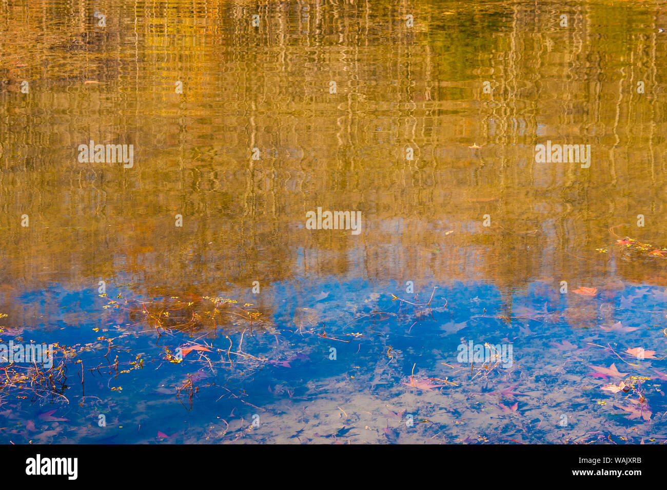 Colorful abstract reflection in lake water Stock Photo - Alamy