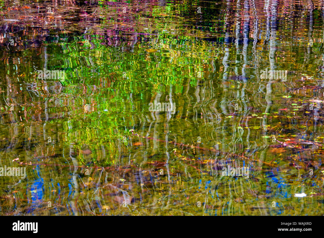 Colorful abstract reflection in lake water Stock Photo - Alamy