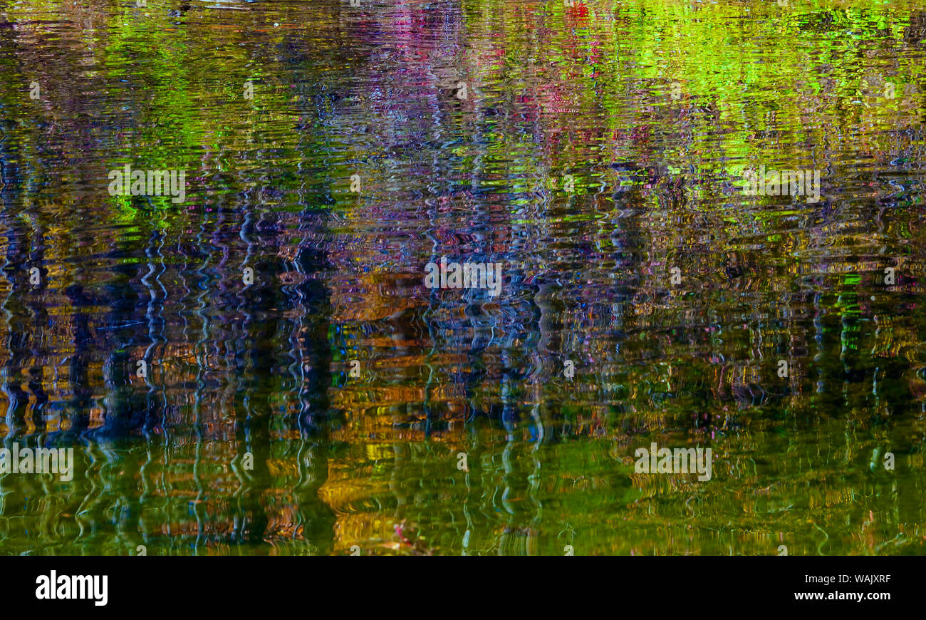 Colorful abstract reflection in lake water Stock Photo - Alamy