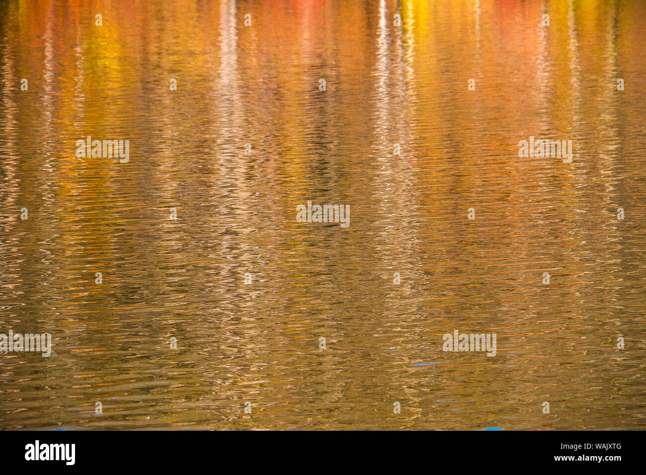 Colorful abstract reflection in lake water Stock Photo - Alamy
