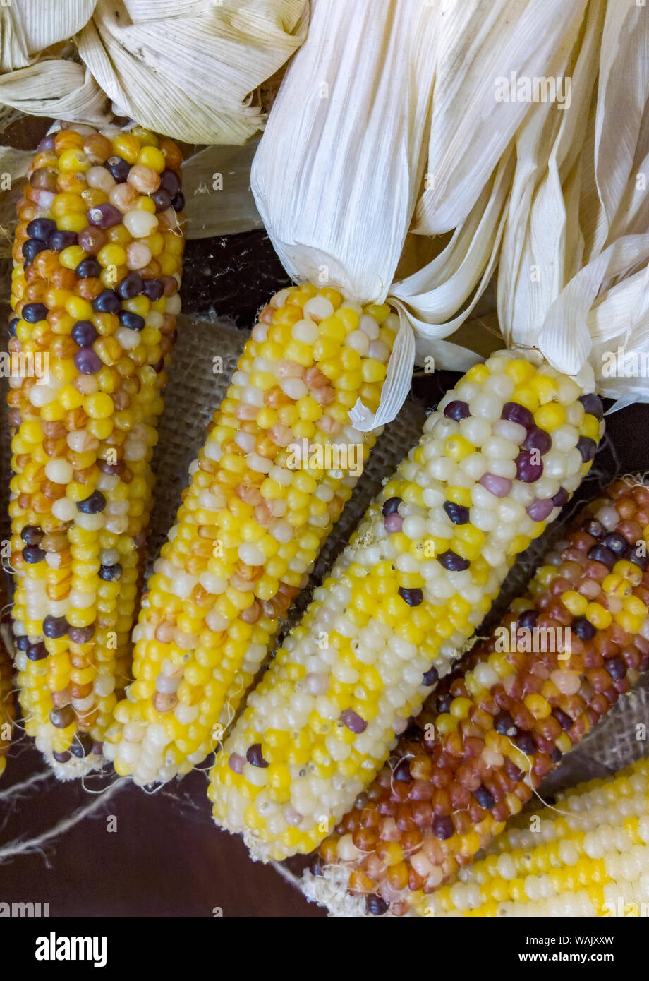 Indian corn close up hi-res stock photography and images - Alamy