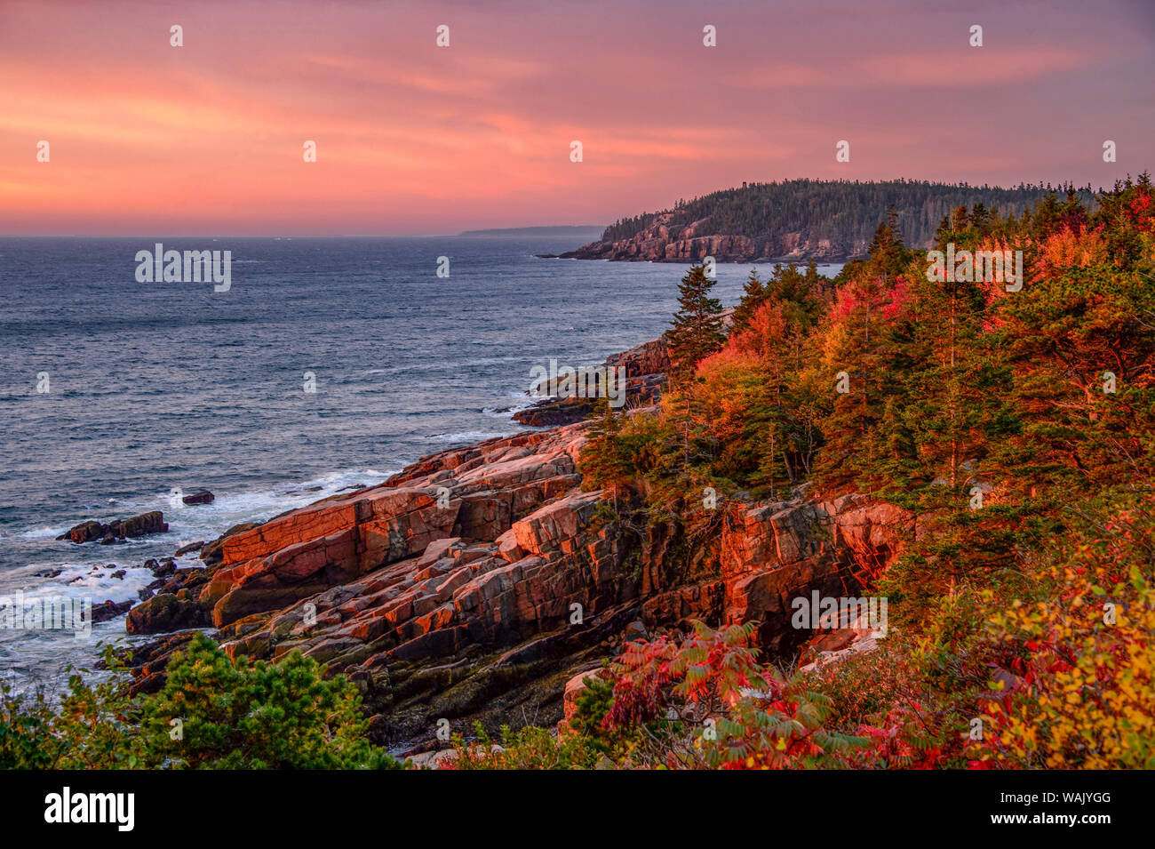 Acadia national park fall foliage hi-res stock photography and images ...