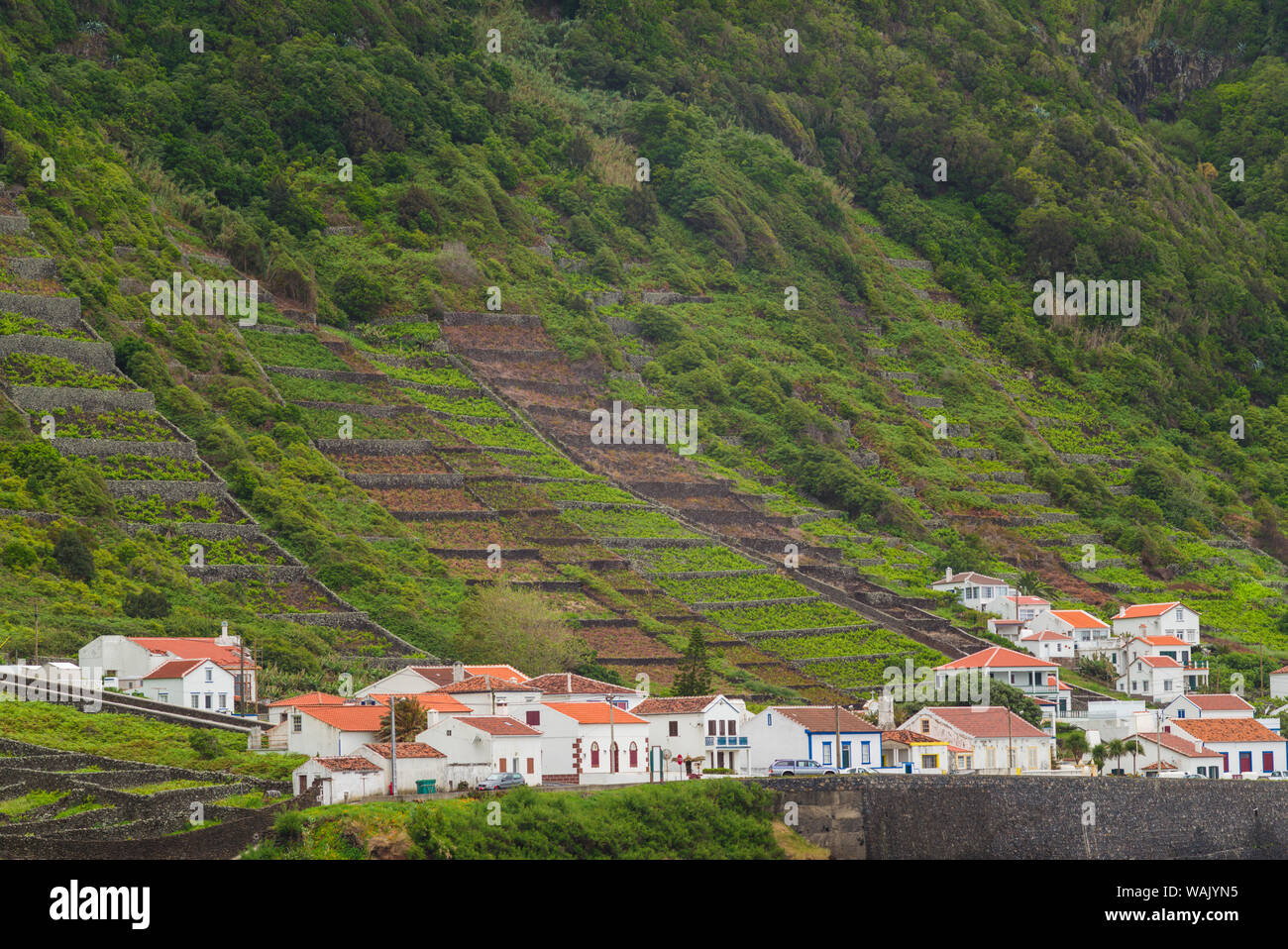 Portugal, Azores, Santa Maria Island, Maia. Houses and volcanic rock ...