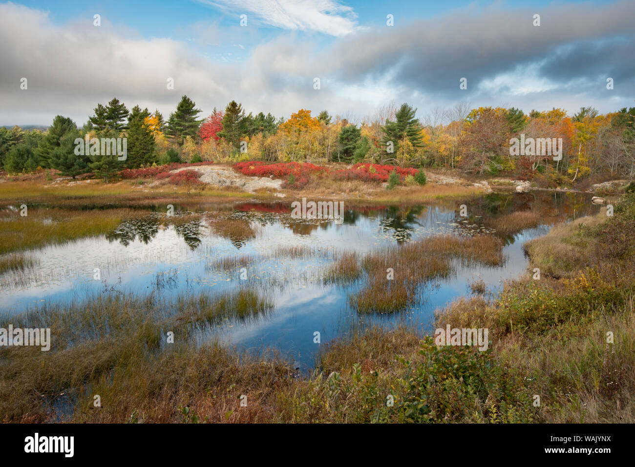 Mills pond hi-res stock photography and images - Alamy