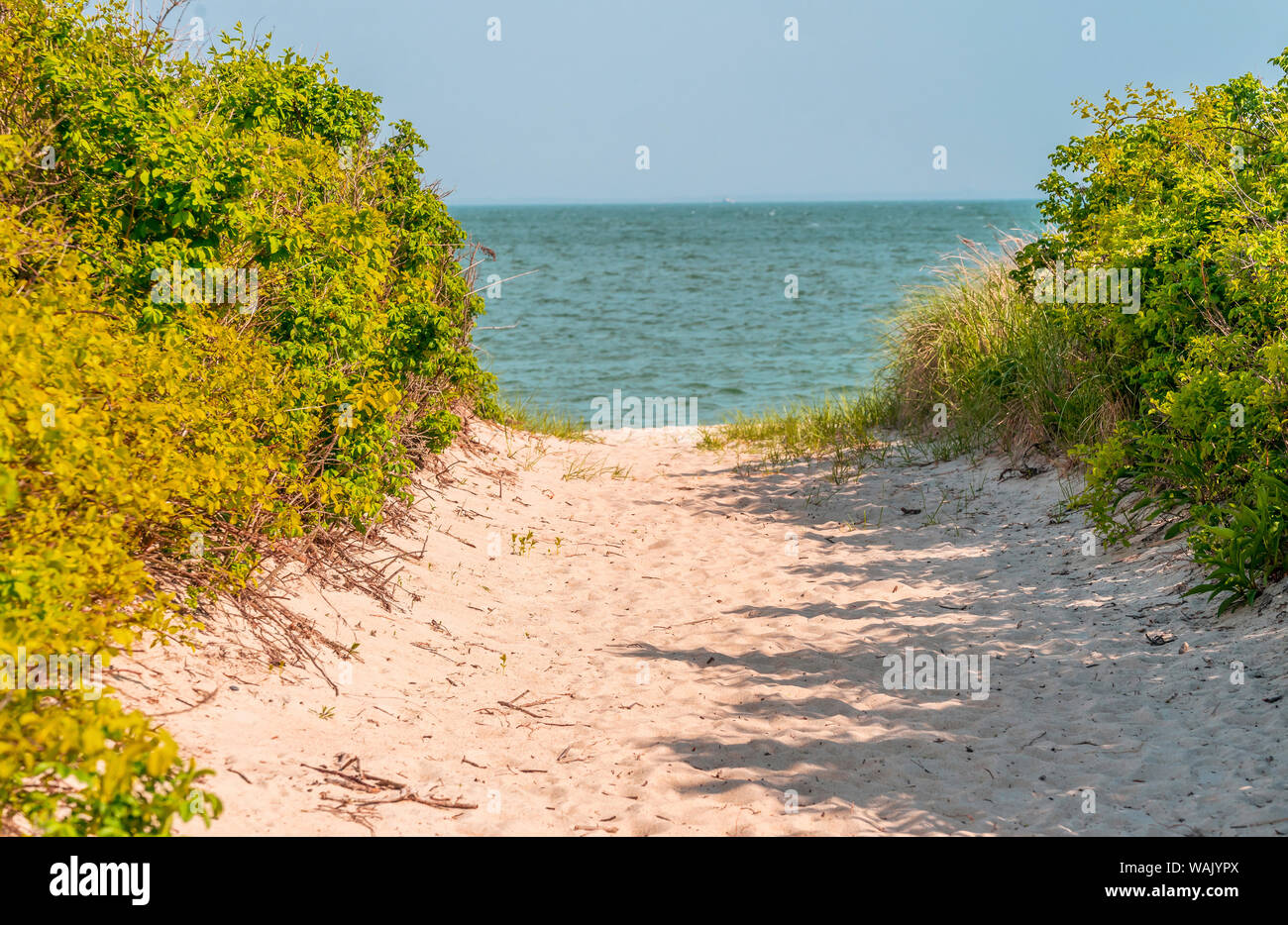Round hill beach hi-res stock photography and images - Alamy