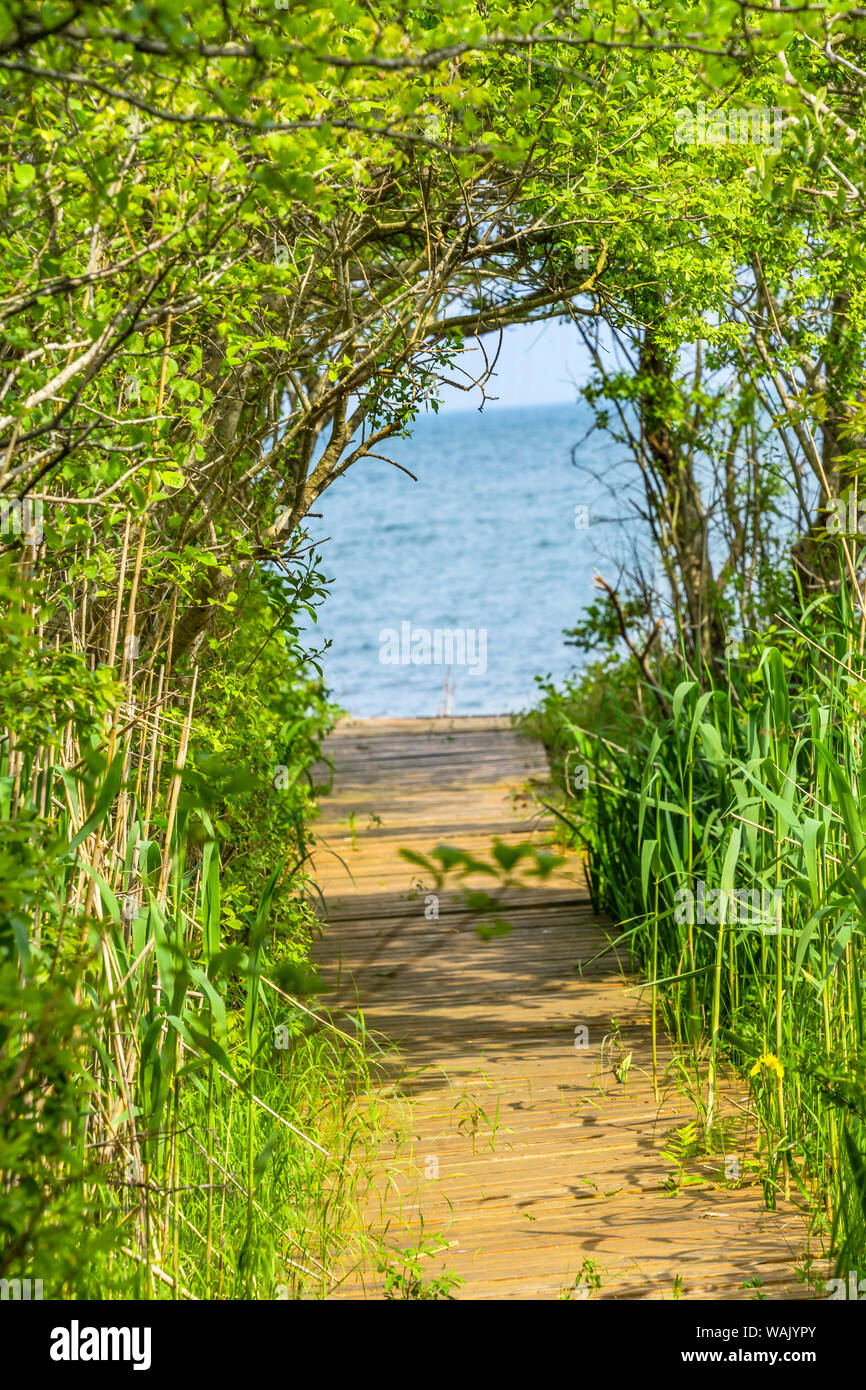 Beach path through trees. Padanaram, Dartmouth, Massachusetts Stock ...