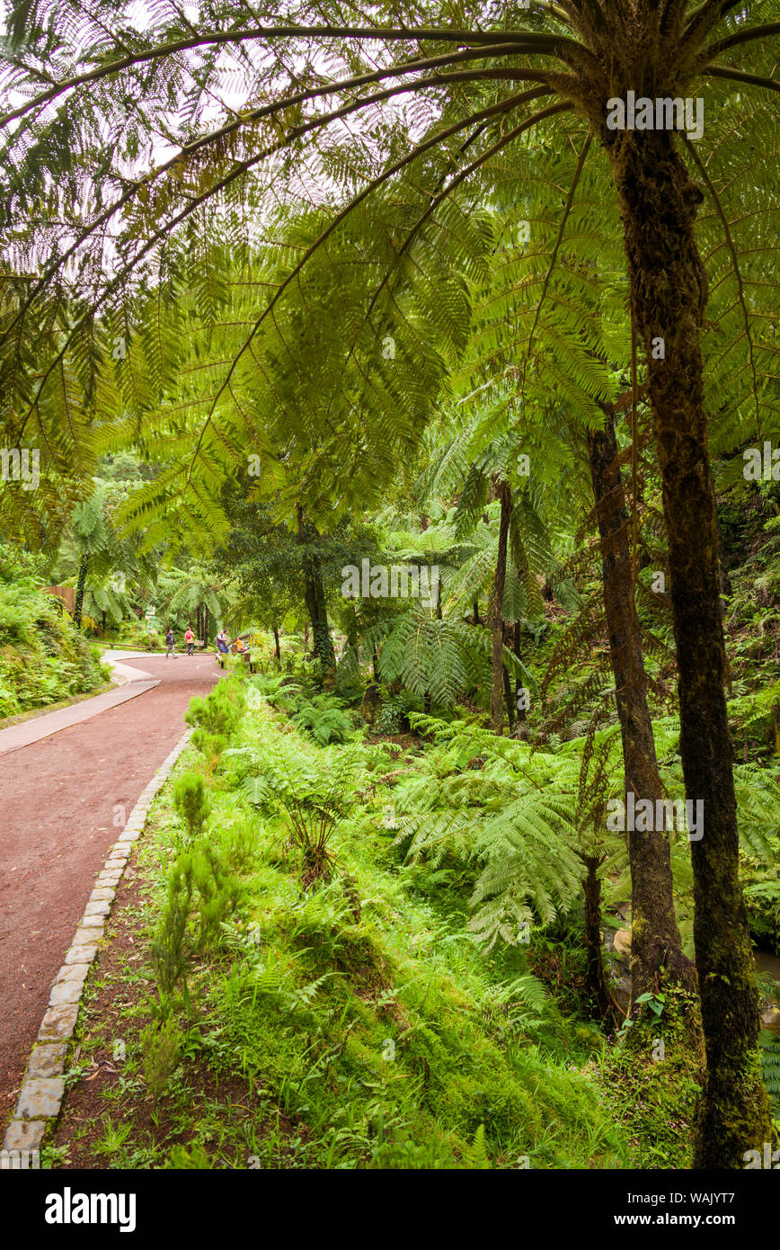 Portugal, Azores, Sao Miguel Island, Caldeira Velha. Entrance to the ...