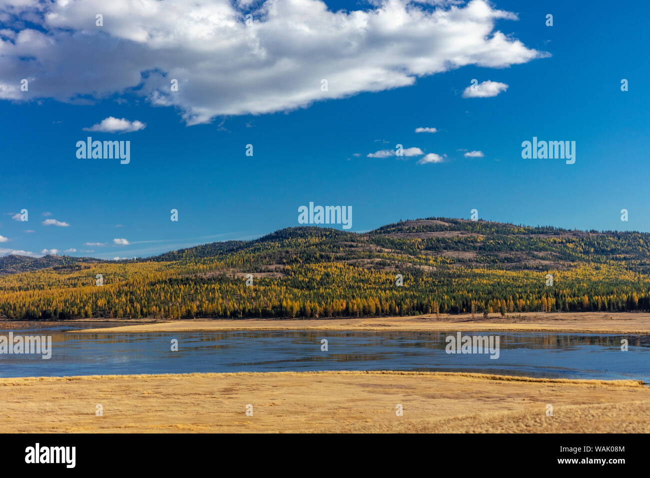 Marion montana hi-res stock photography and images - Alamy