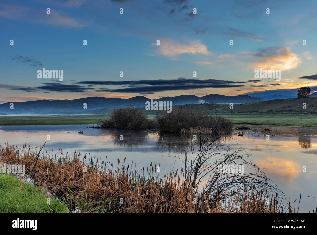 Melrose montana hi-res stock photography and images - Alamy