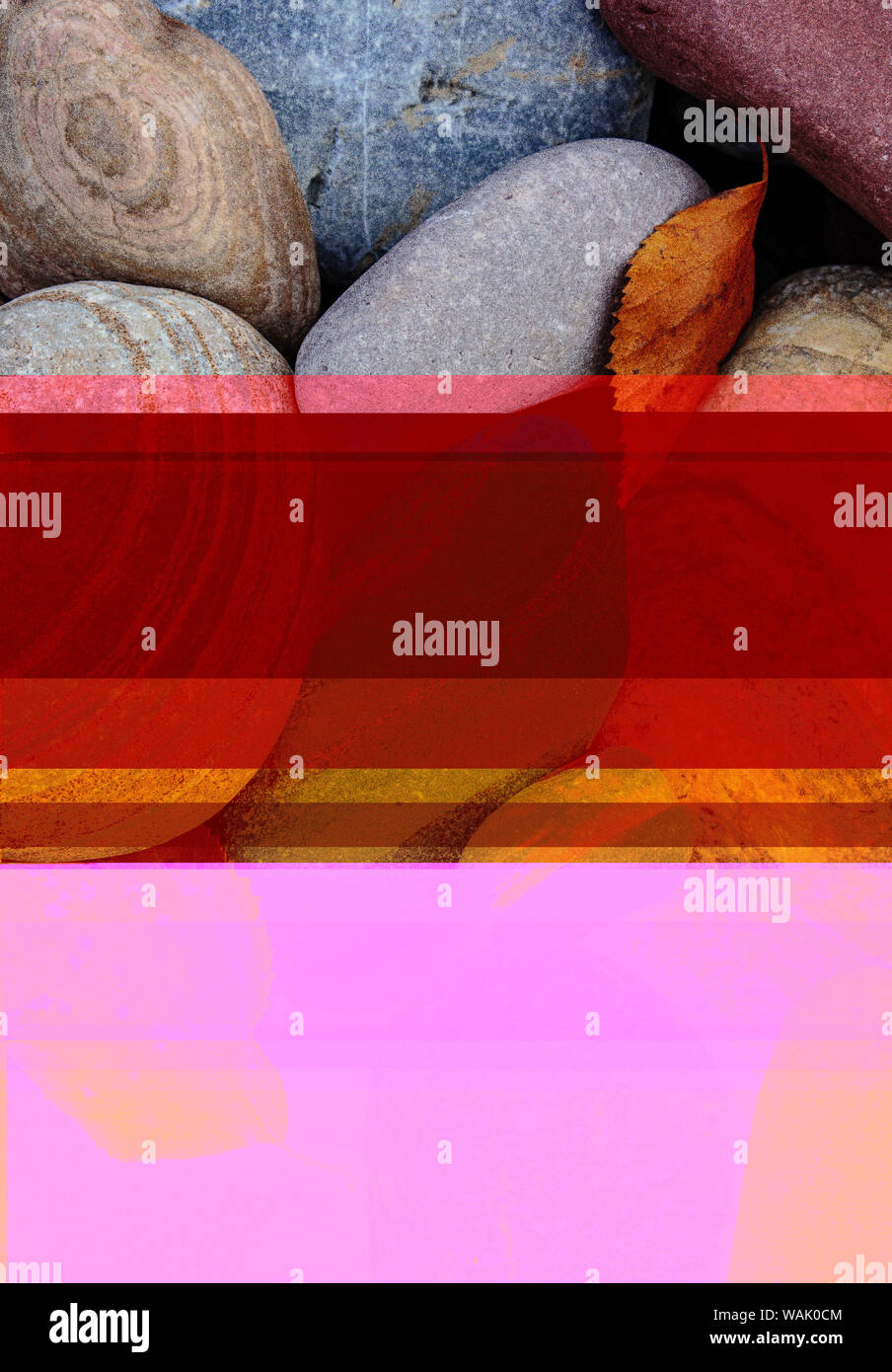 Colorful river rocks along the Middle Fork of the Flathead River in ...